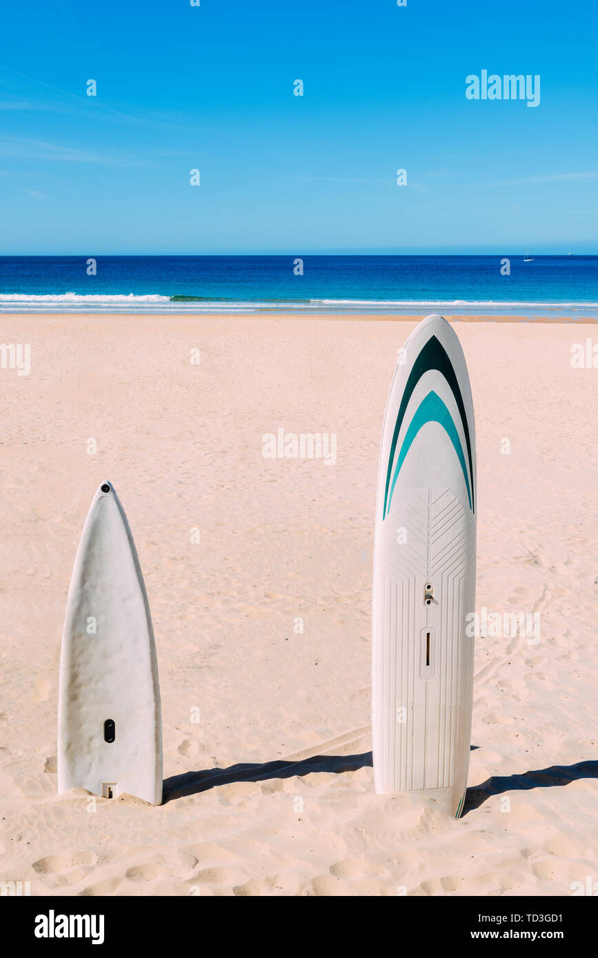 One Standup Paddle surfboard and a traditional surf board on an empty ...
