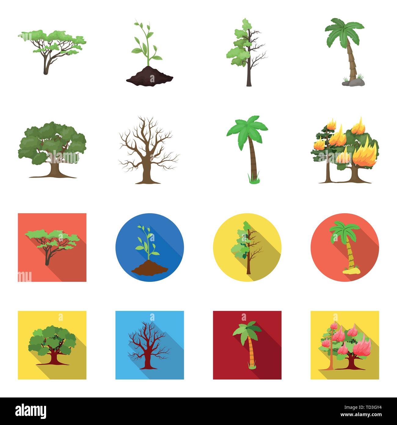 California oak forest Stock Vector Images - Alamy