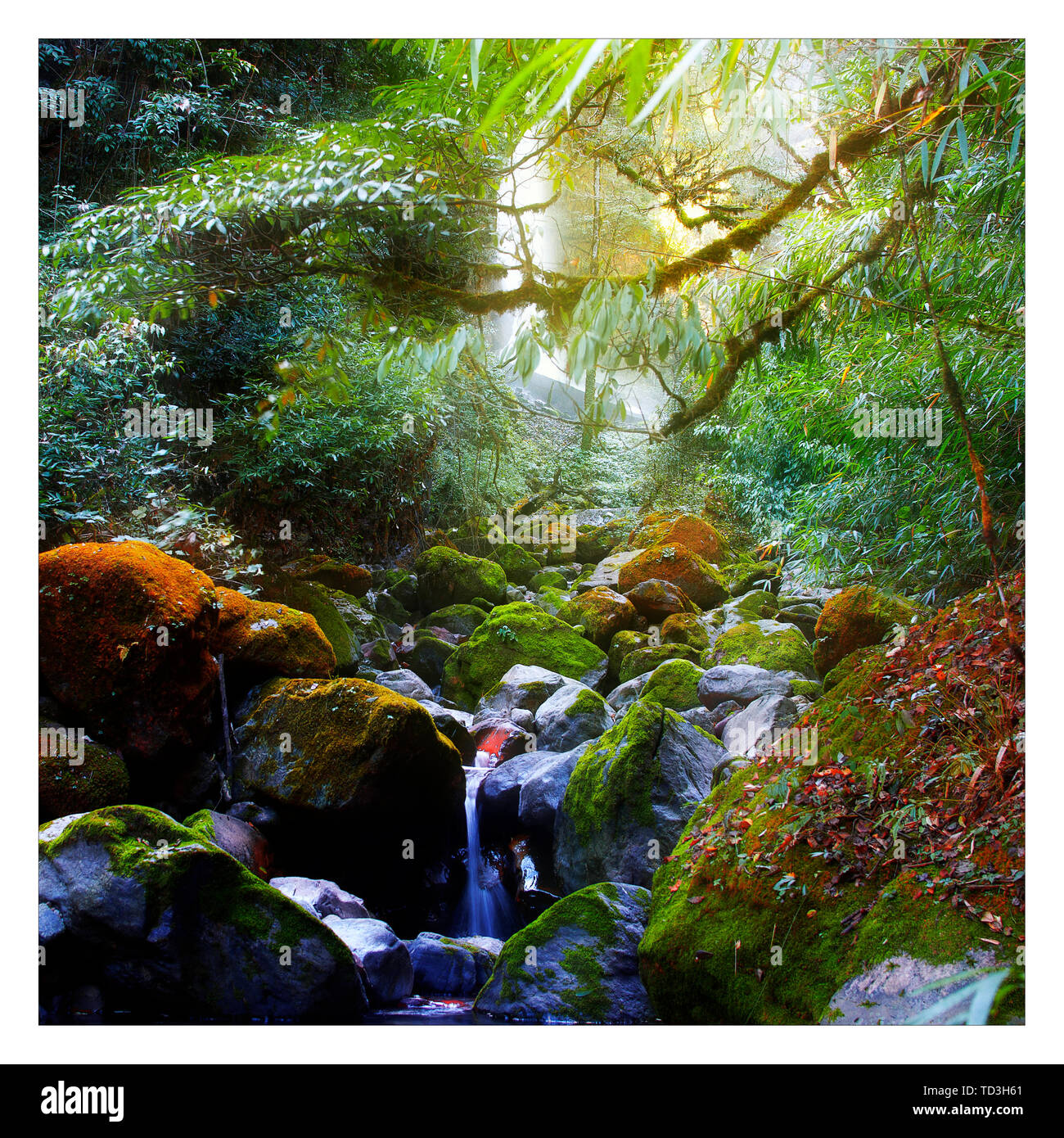 Wild mountain river flow Cut Out Stock Images & Pictures - Alamy