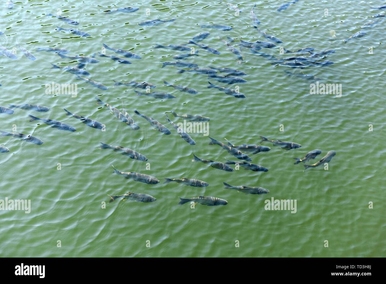 Dam mural painting hi-res stock photography and images - Alamy