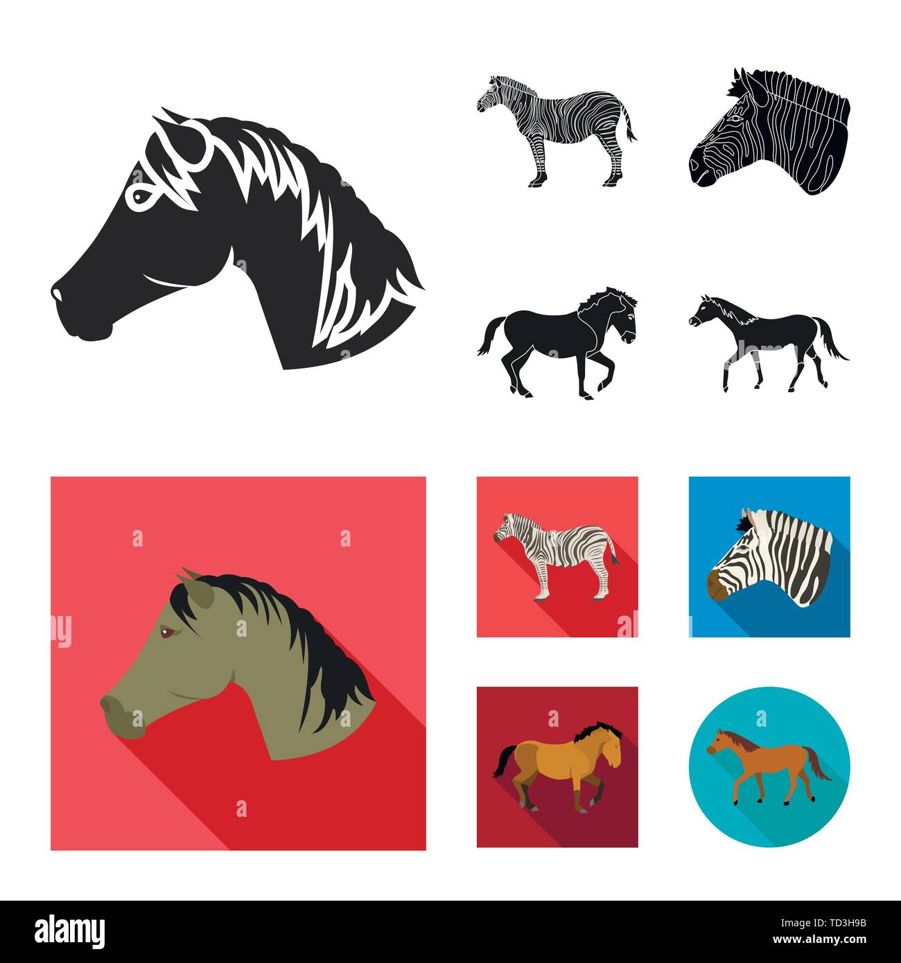 cowboy,profile,equine,quarter,bridle,standing,brown,zebra,west,wild ...