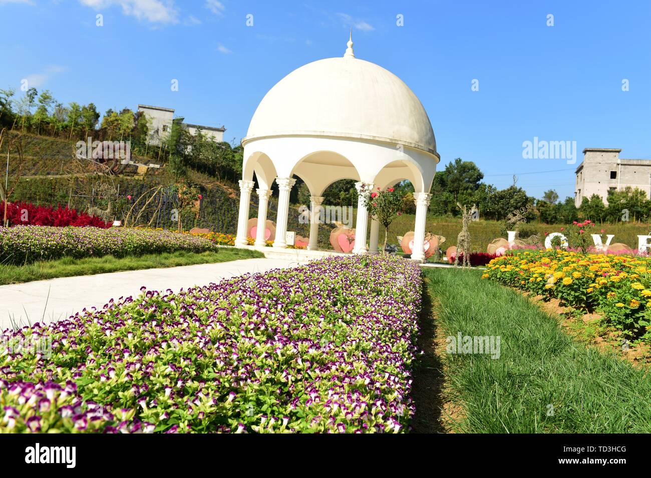 Flower Sea Promenade Stock Photo - Alamy