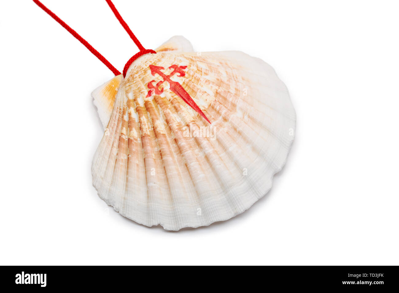 Camino de Santiago shell isolated on white background. Santiago de ...