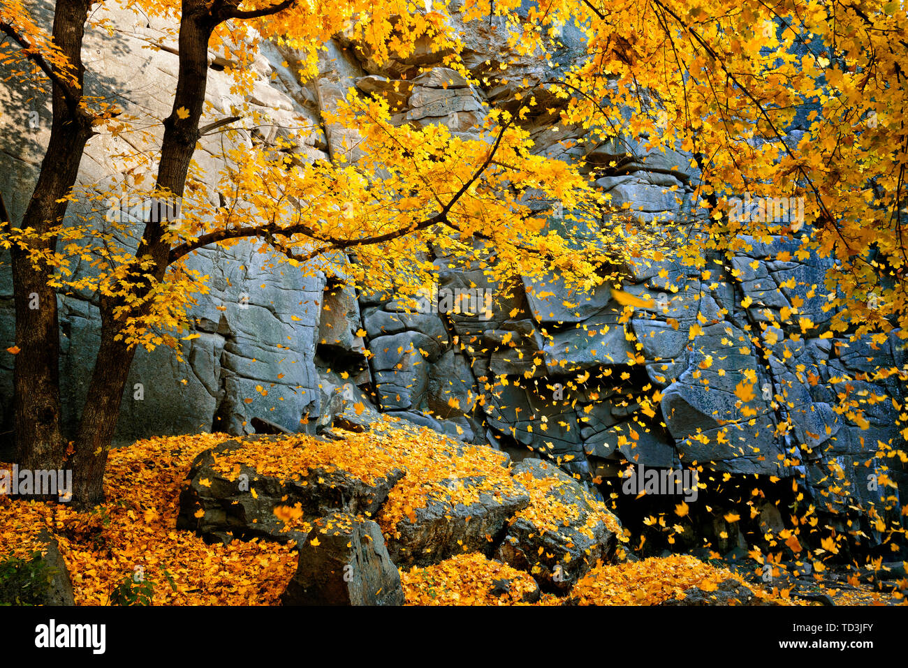 Autumn sun light and rocks hi-res stock photography and images - Alamy