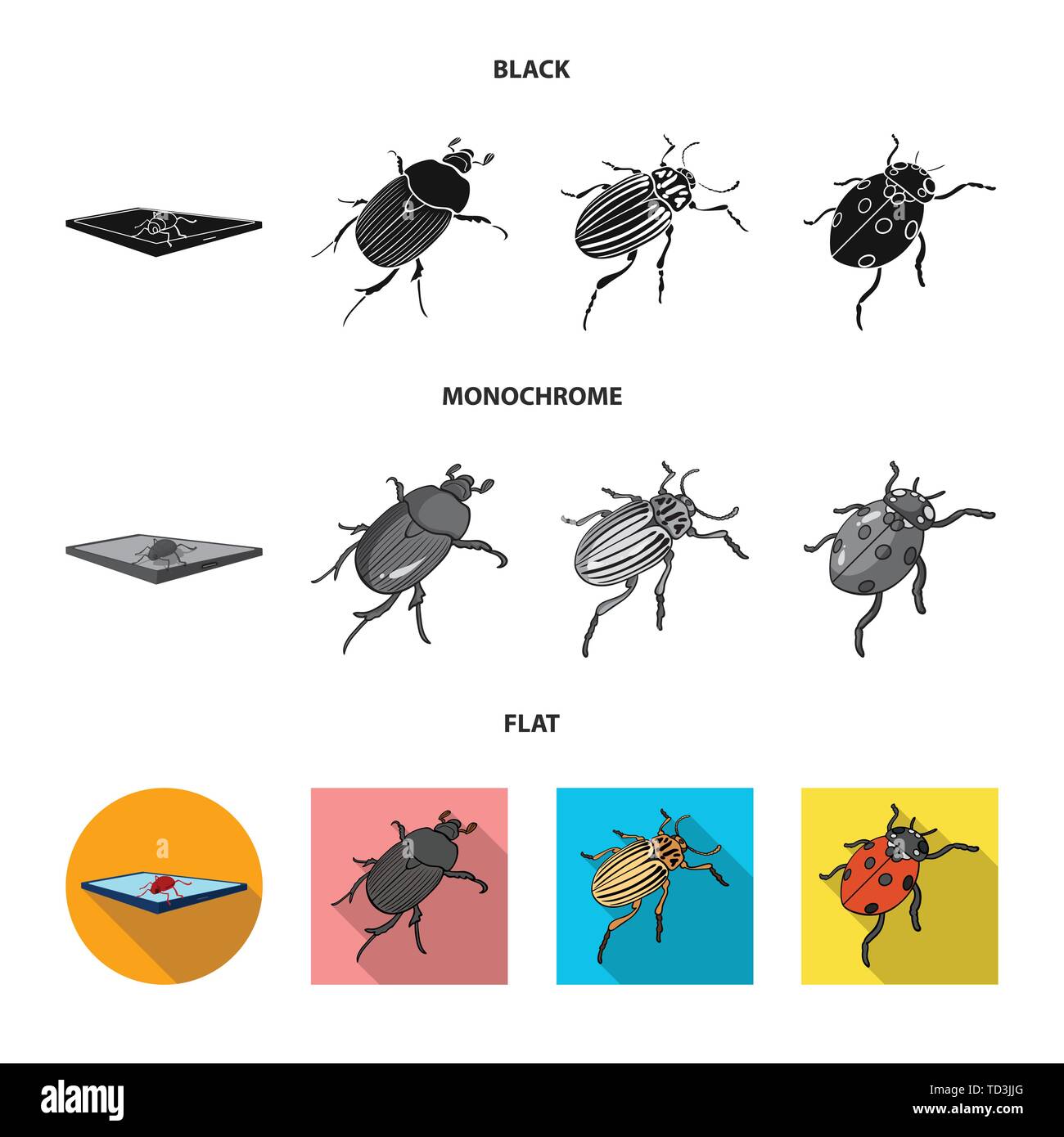 horn,ladybug,cockroach,pest,bug,insect,beetle,animal,halloween,drawn ...