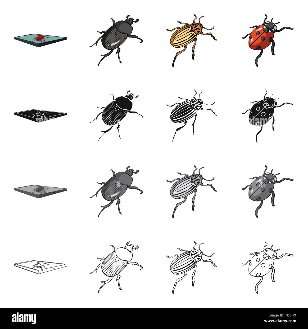 horn,ladybug,cockroach,pest,bug,insect,beetle,animal,halloween,drawn ...