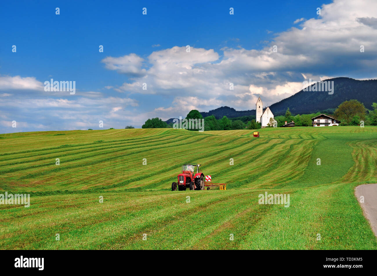 Tractor cutting hay in the field during beautiful sunny day Stock Photo ...