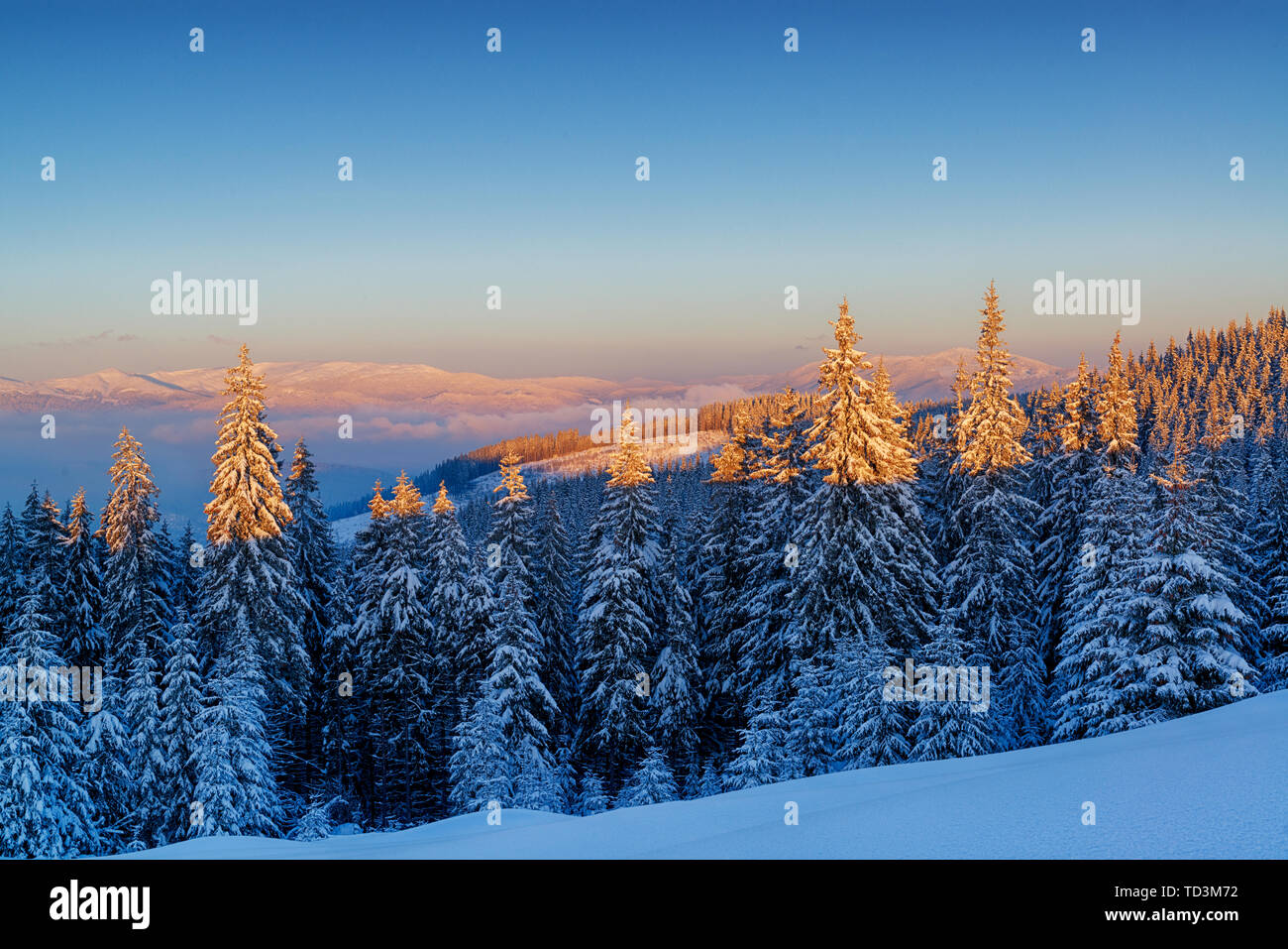 First sun rays in the winter snowy mountains Stock Photo - Alamy