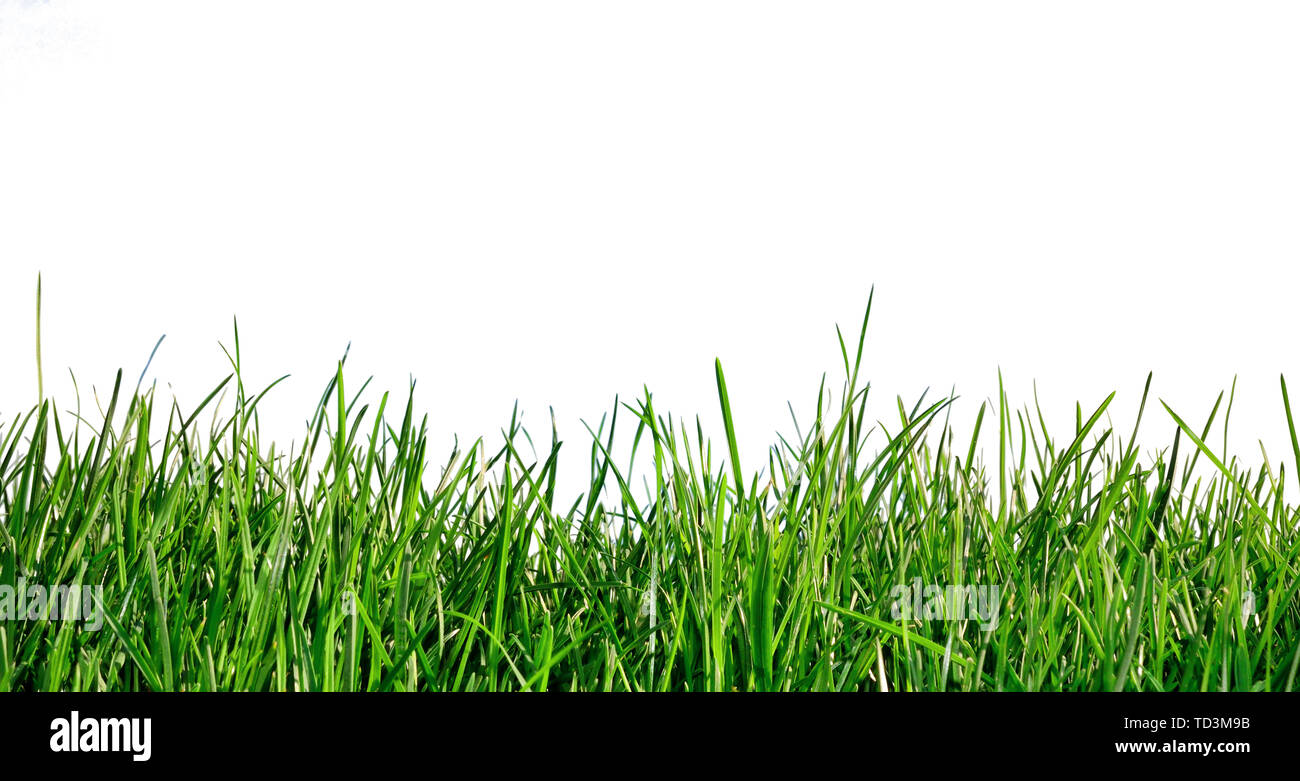 White background line hi-res stock photography and images - Alamy