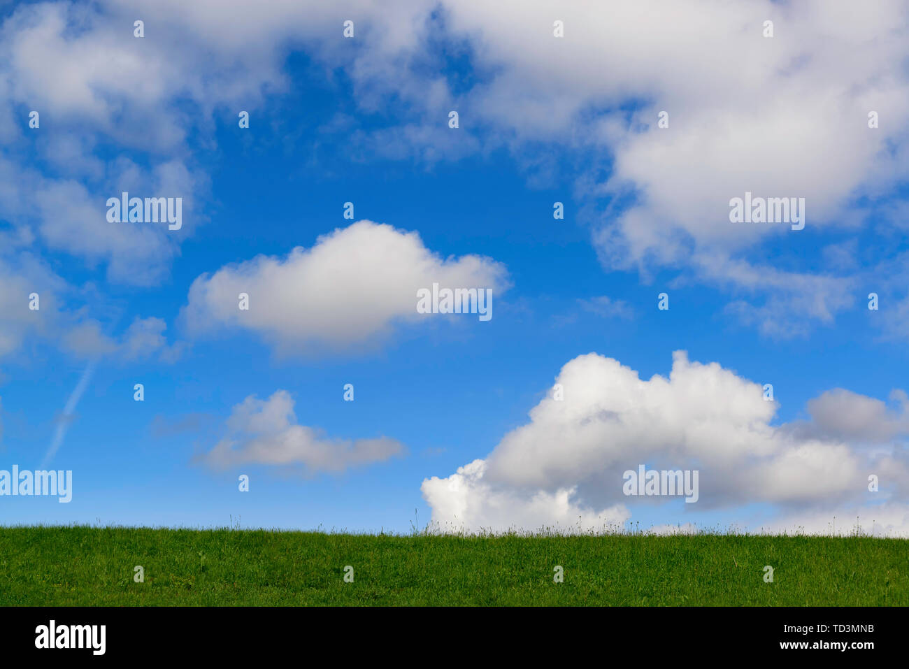 Grass line hi-res stock photography and images - Alamy