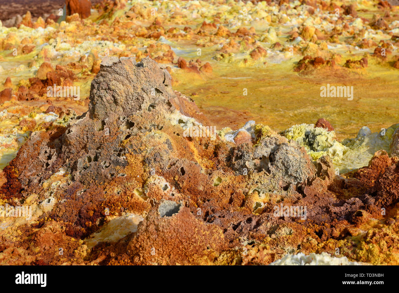 Dallol hydrothermal hot springs in the Danakil depression at the Afar ...