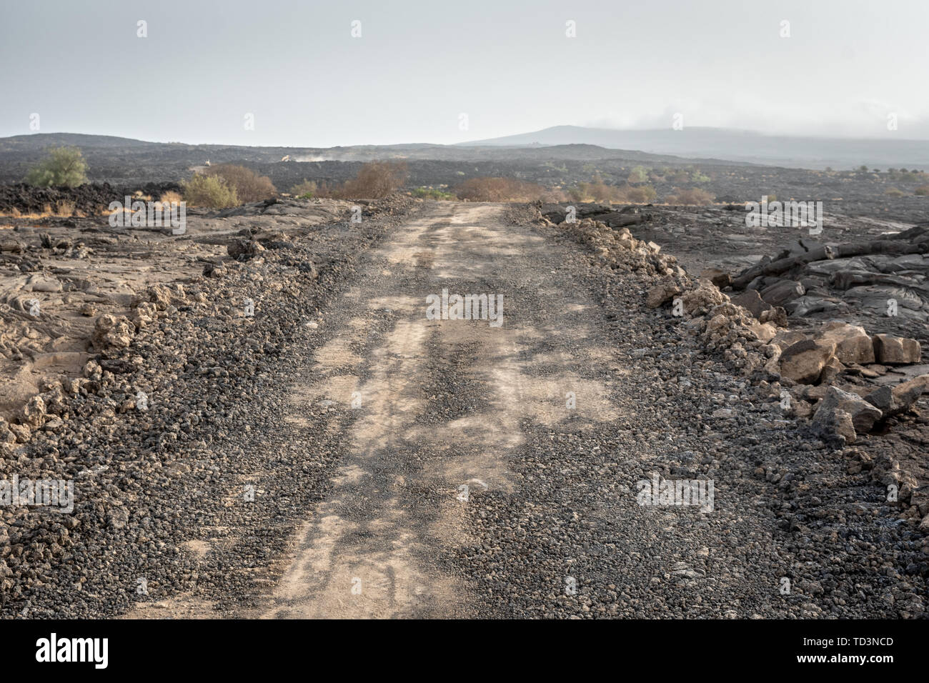 A dirt road leading to Erta Ale Volcano, a continuously active basaltic ...
