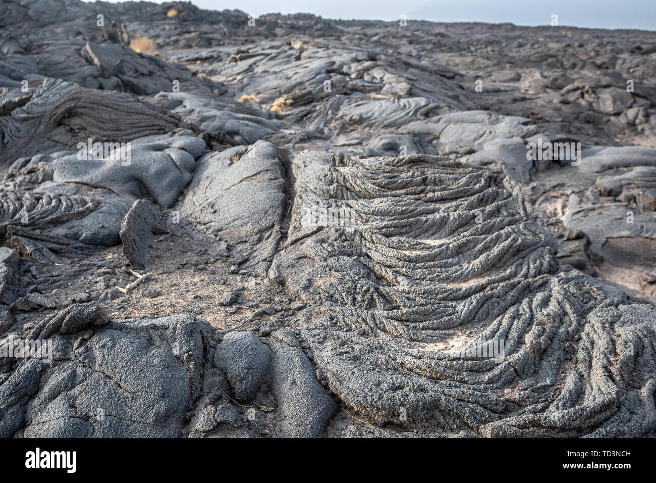 A dirt road leading to Erta Ale Volcano, a continuously active basaltic ...