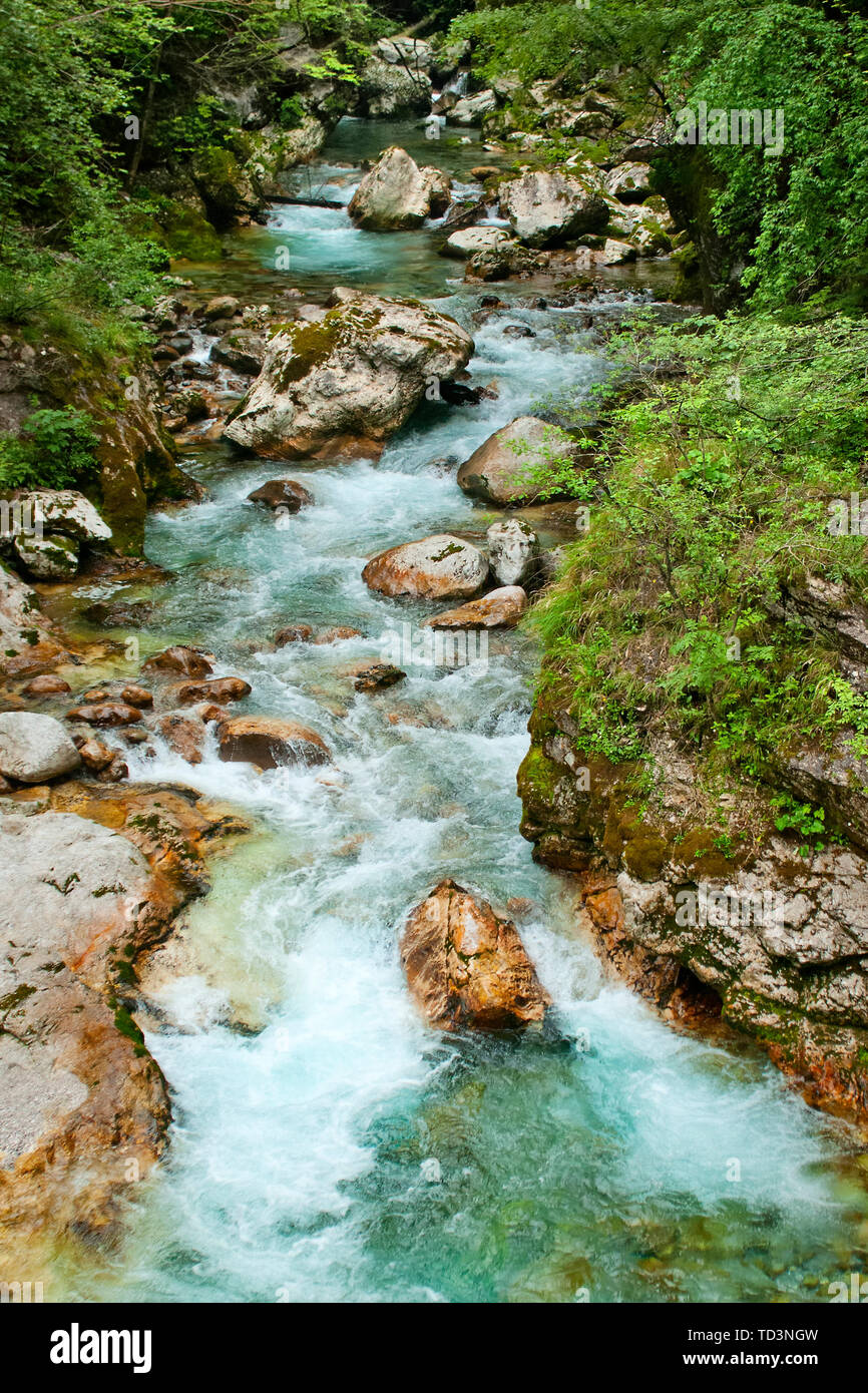 Beautiful blue river with stones and moss surrounded by trees Stock ...
