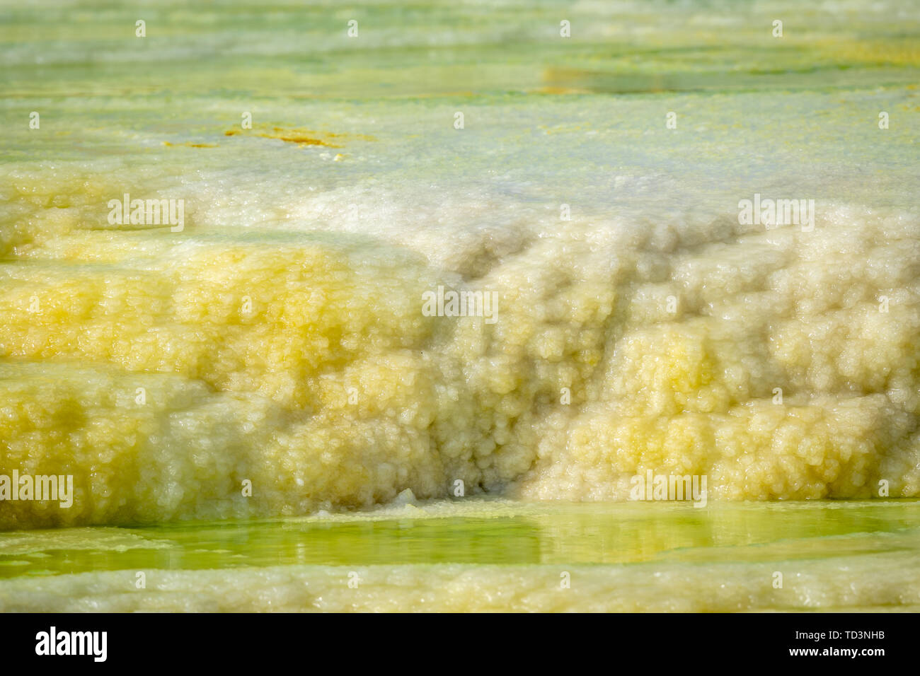 Dallol hydrothermal hot springs in the Danakil depression at the Afar ...