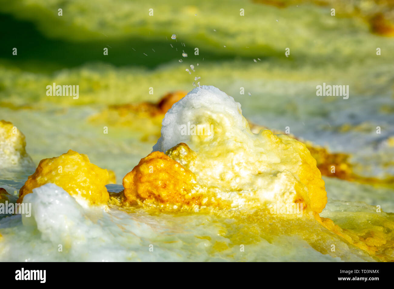 Dallol hydrothermal hot springs in the Danakil depression at the Afar ...