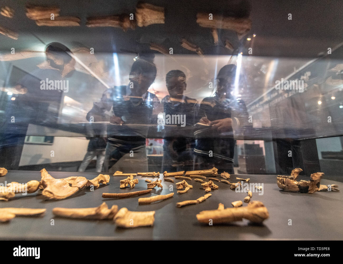 Students and visitors alike look at the remains of one of the earliest ...