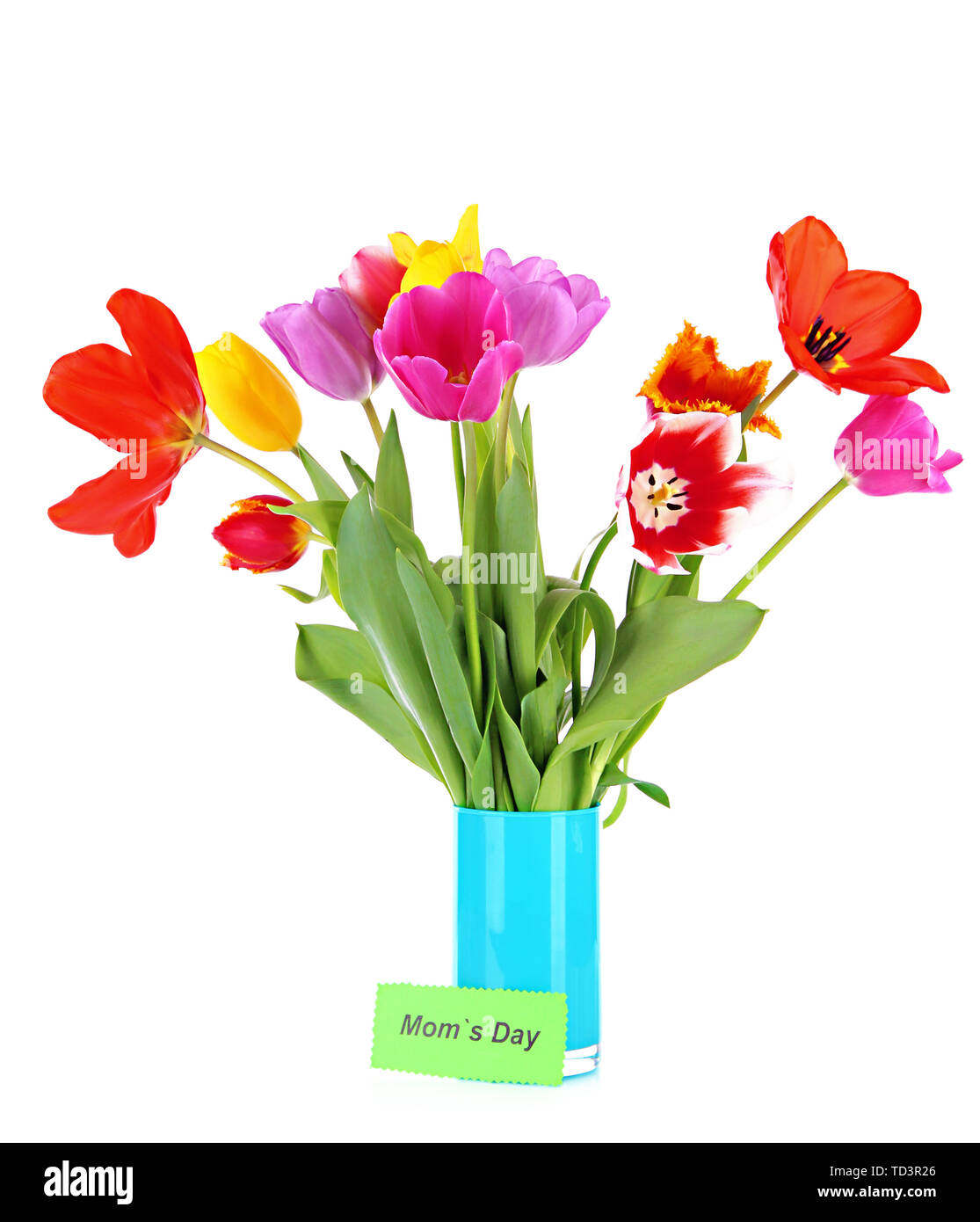 Note in garden Cut Out Stock Images & Pictures - Alamy