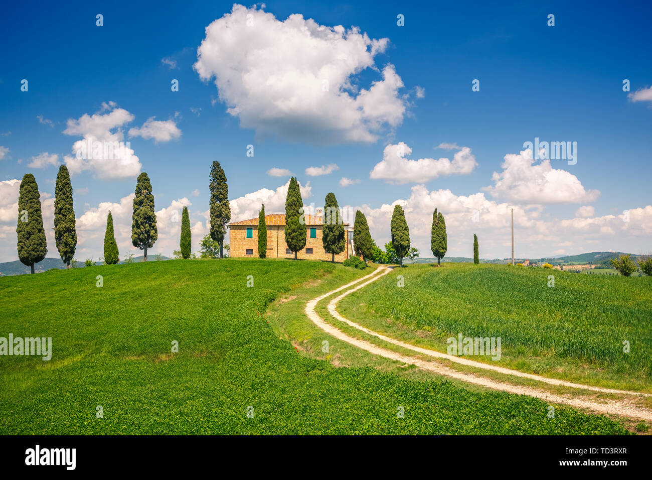 Tuscany spring landscape Stock Photo - Alamy