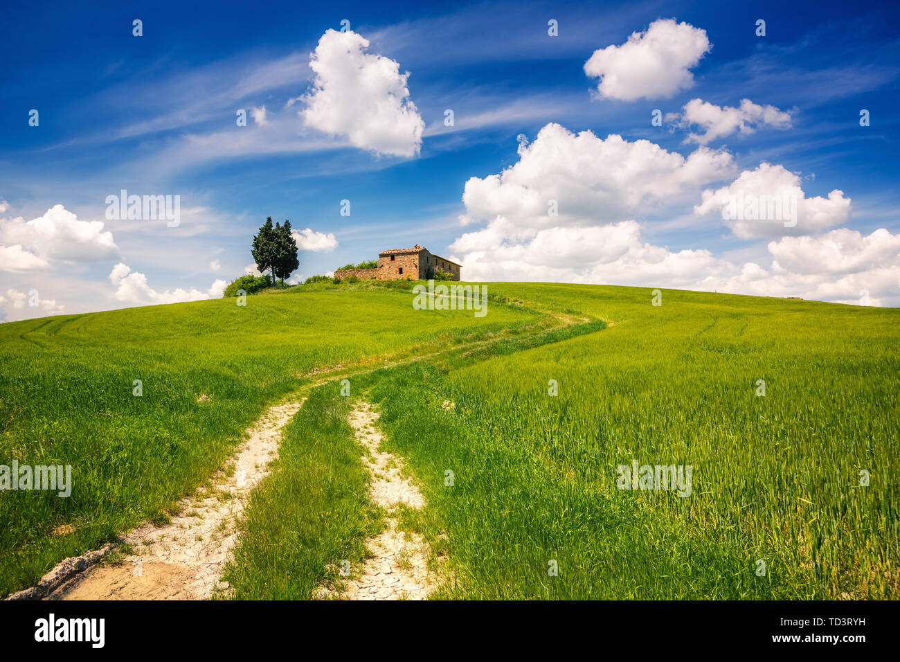 Tuscany spring landscape Stock Photo - Alamy