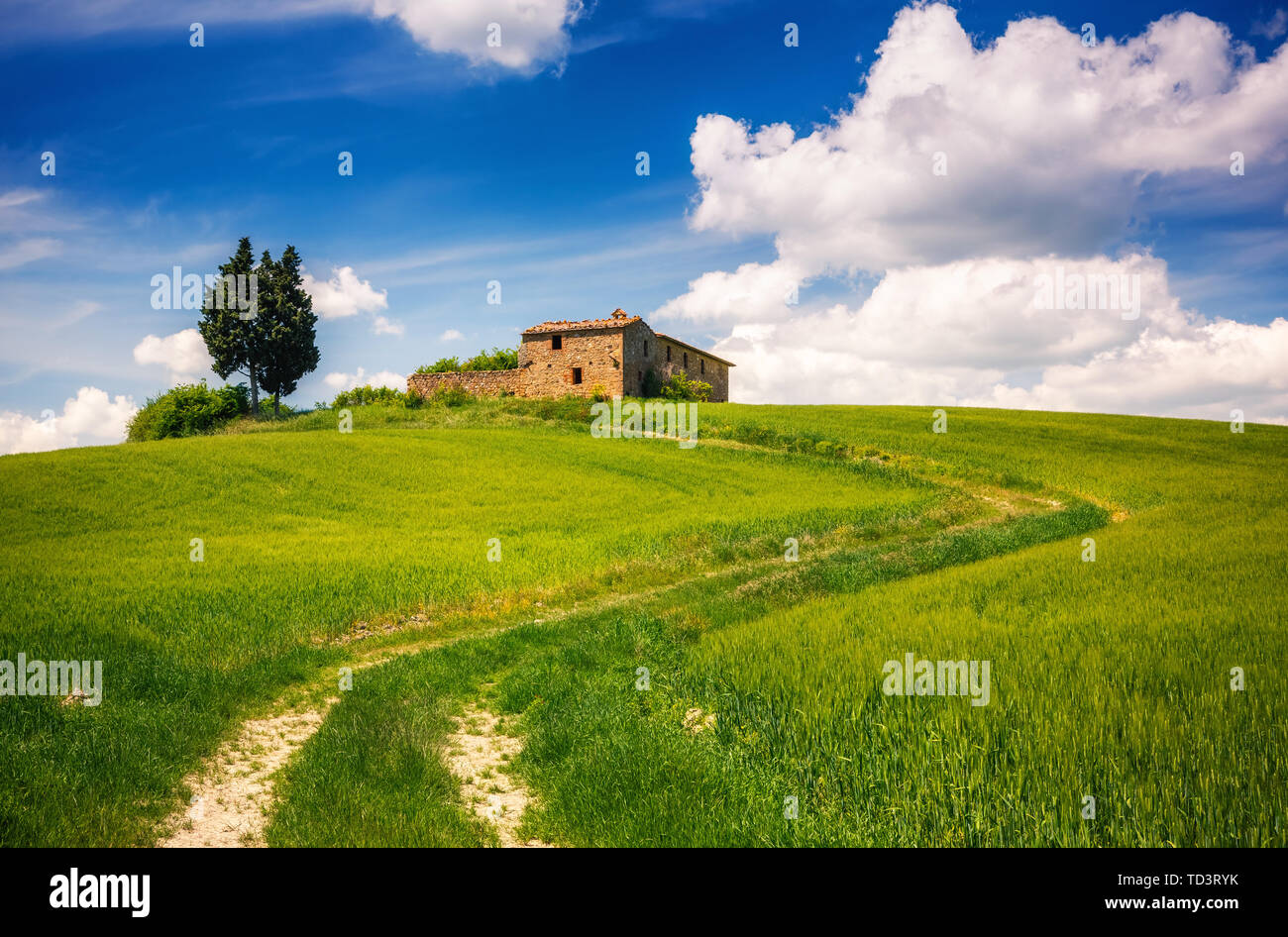 Tuscany spring landscape Stock Photo - Alamy