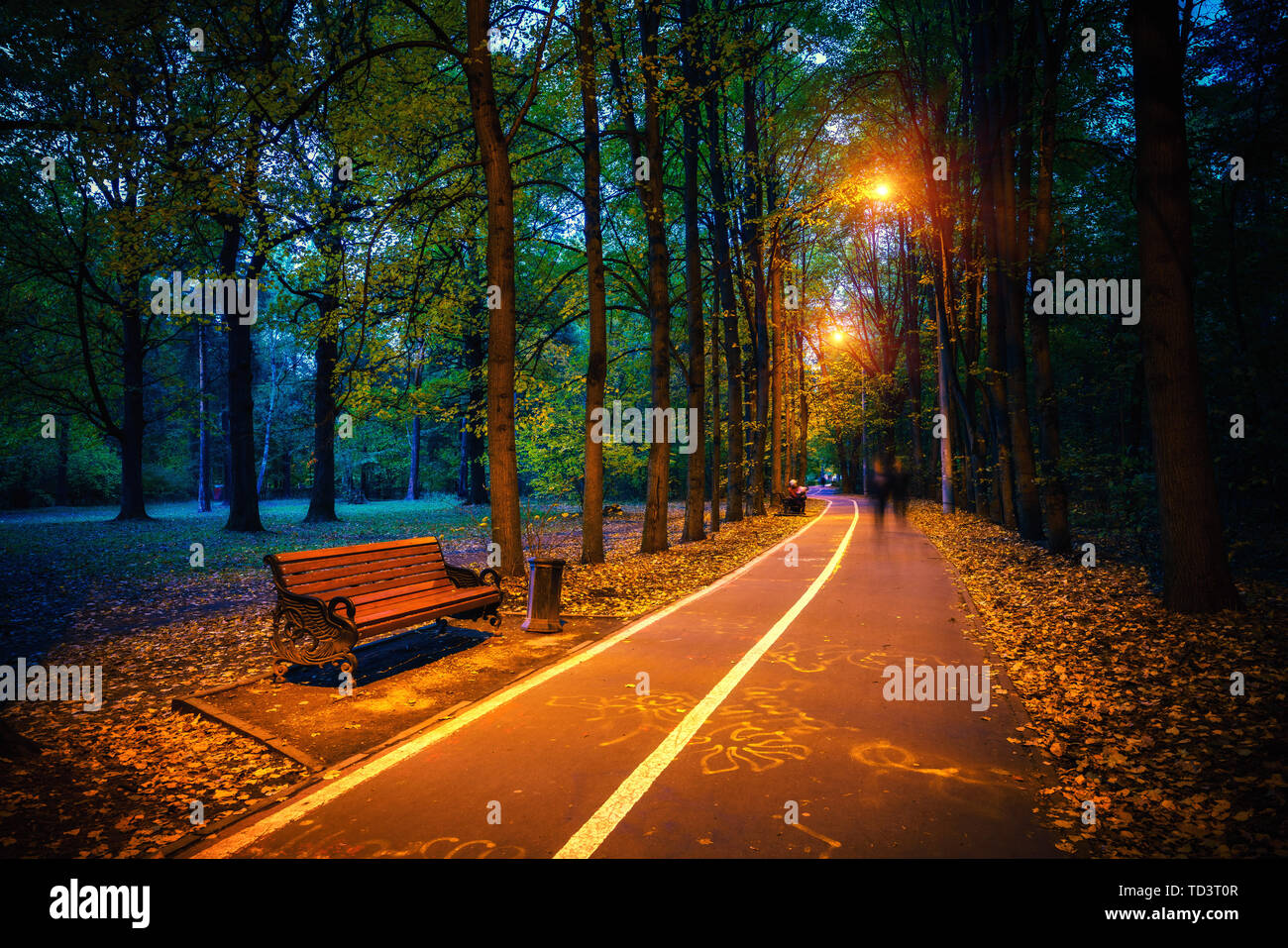 Pathway lights hi-res stock photography and images - Alamy