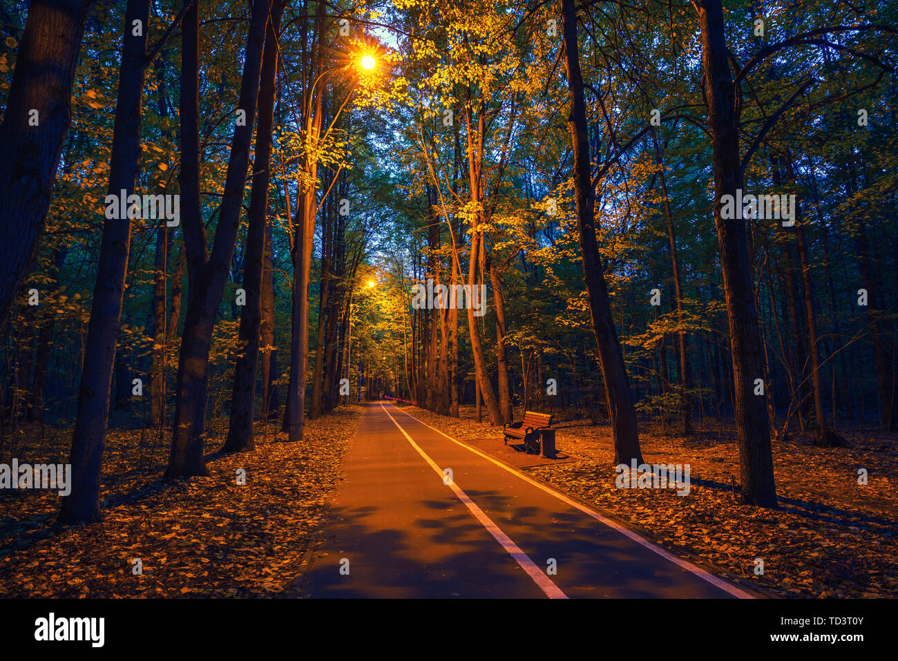 Pathway in autumn park at dust Stock Photo - Alamy
