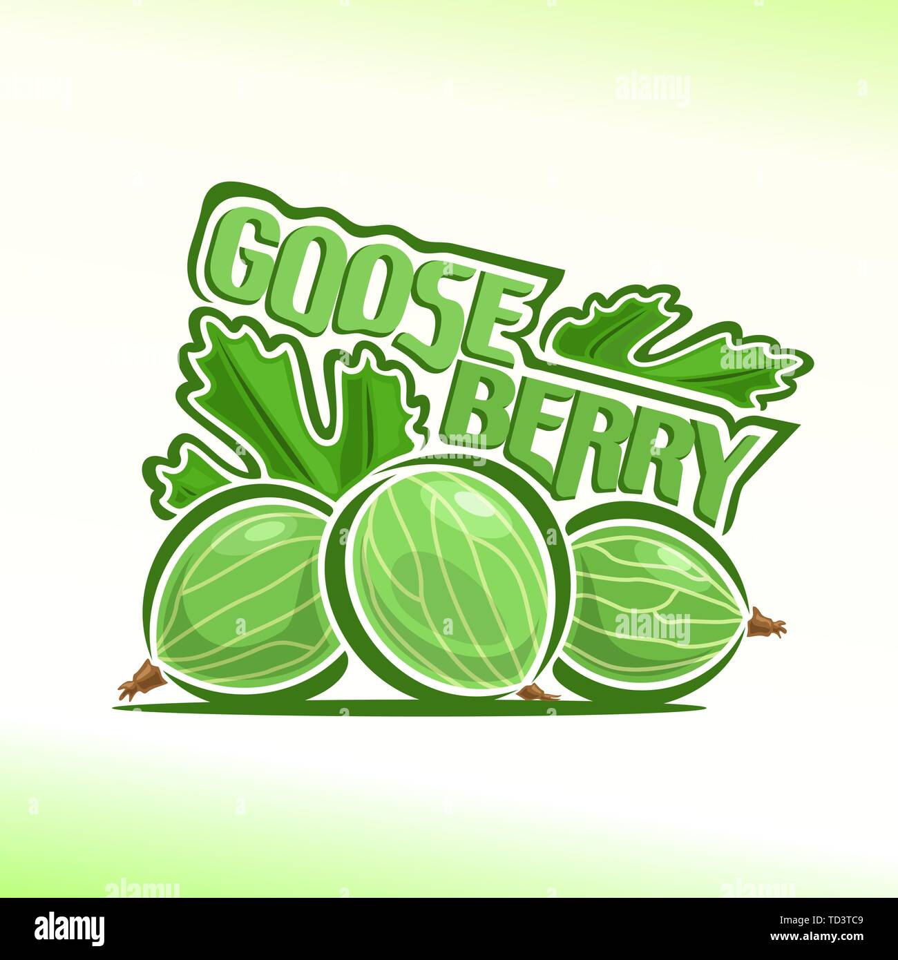 Vector logo for gooseberry Stock Vector Image & Art - Alamy