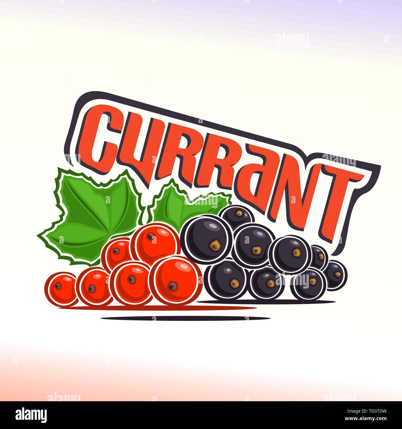 Blackcurrant juice Stock Vector Images - Alamy