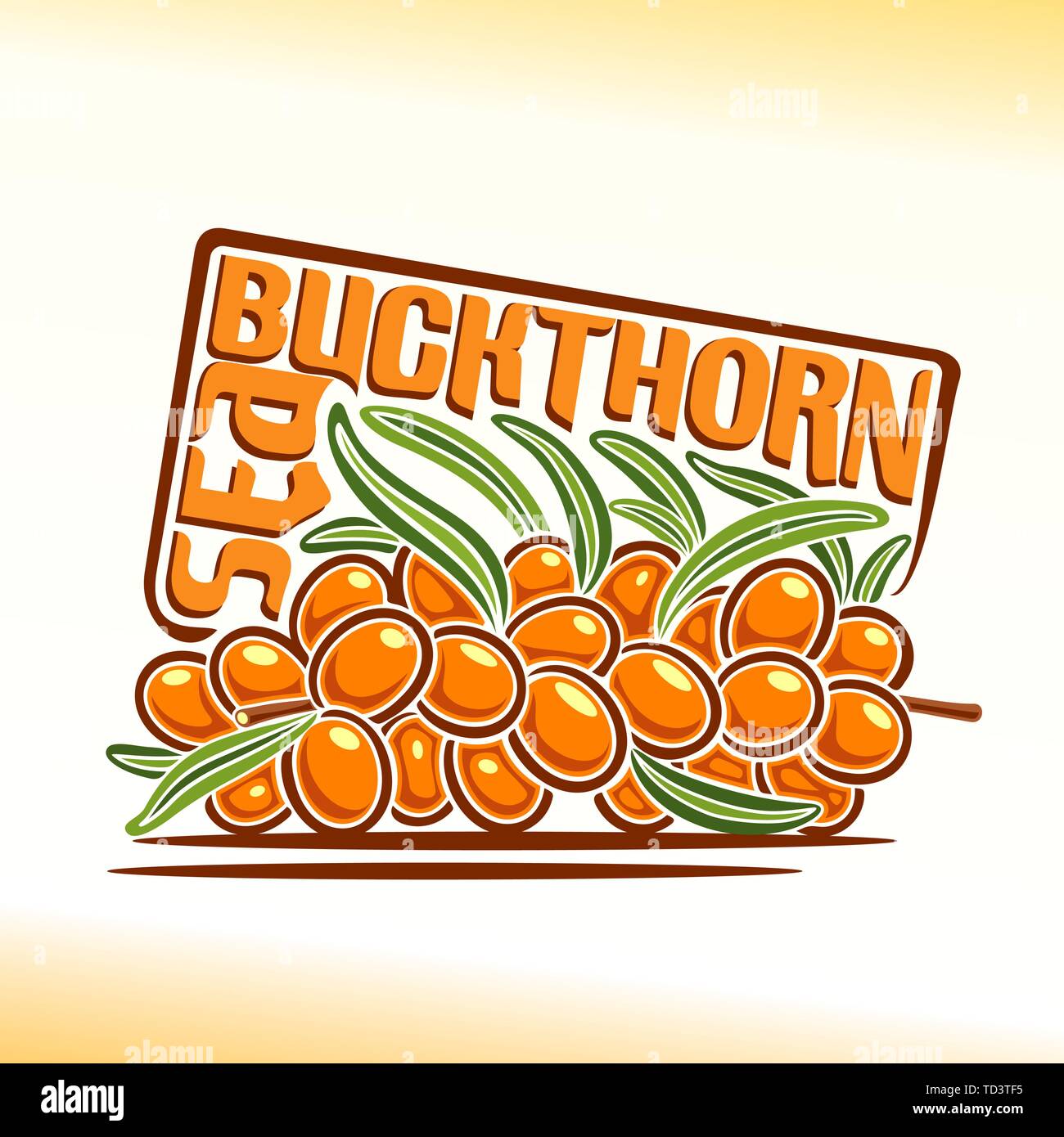 Healthy sea buckthorn juice Stock Vector Images - Alamy