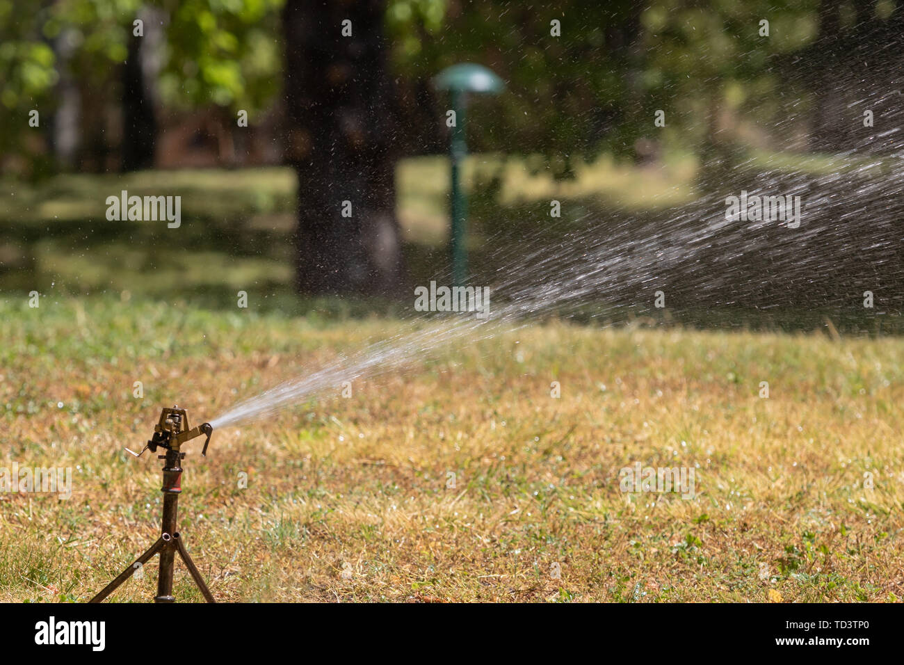 Lawn Water Sprinkler Spraying Water Over Stock Photo - Alamy