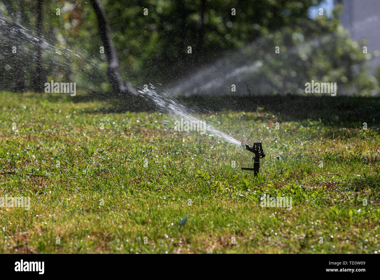 Lawn Water Sprinkler Spraying Water Over Stock Photo - Alamy