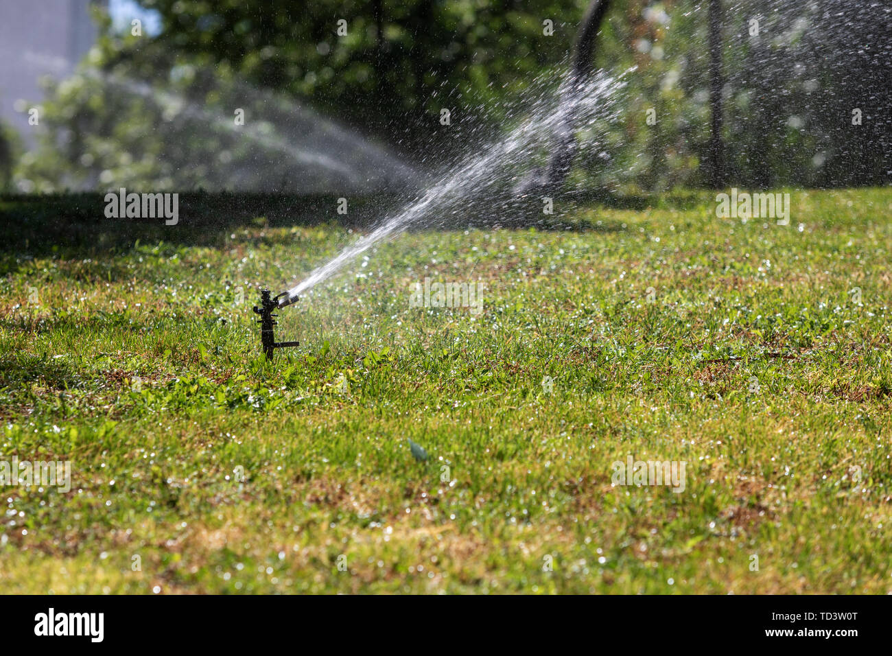 Lawn Water Sprinkler Spraying Water Over Stock Photo - Alamy