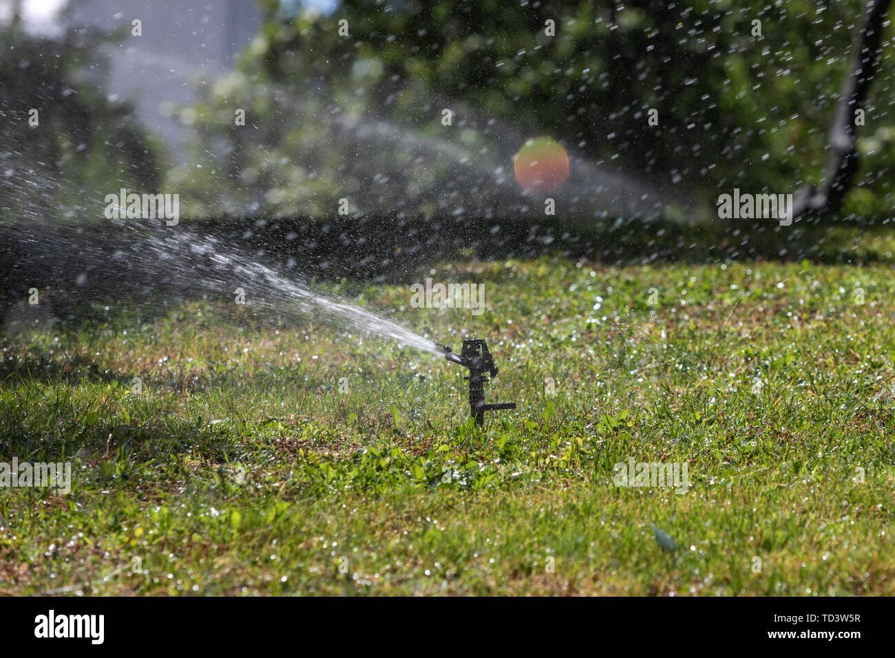 Lawn Water Sprinkler Spraying Water Over Stock Photo - Alamy