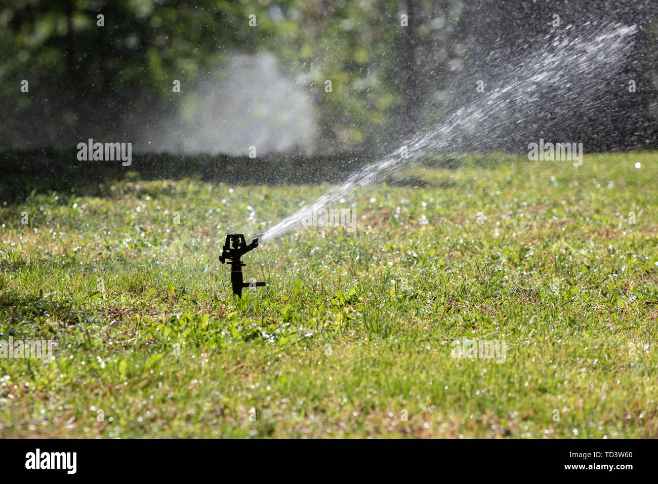 Lawn Water Sprinkler Spraying Water Over Stock Photo - Alamy