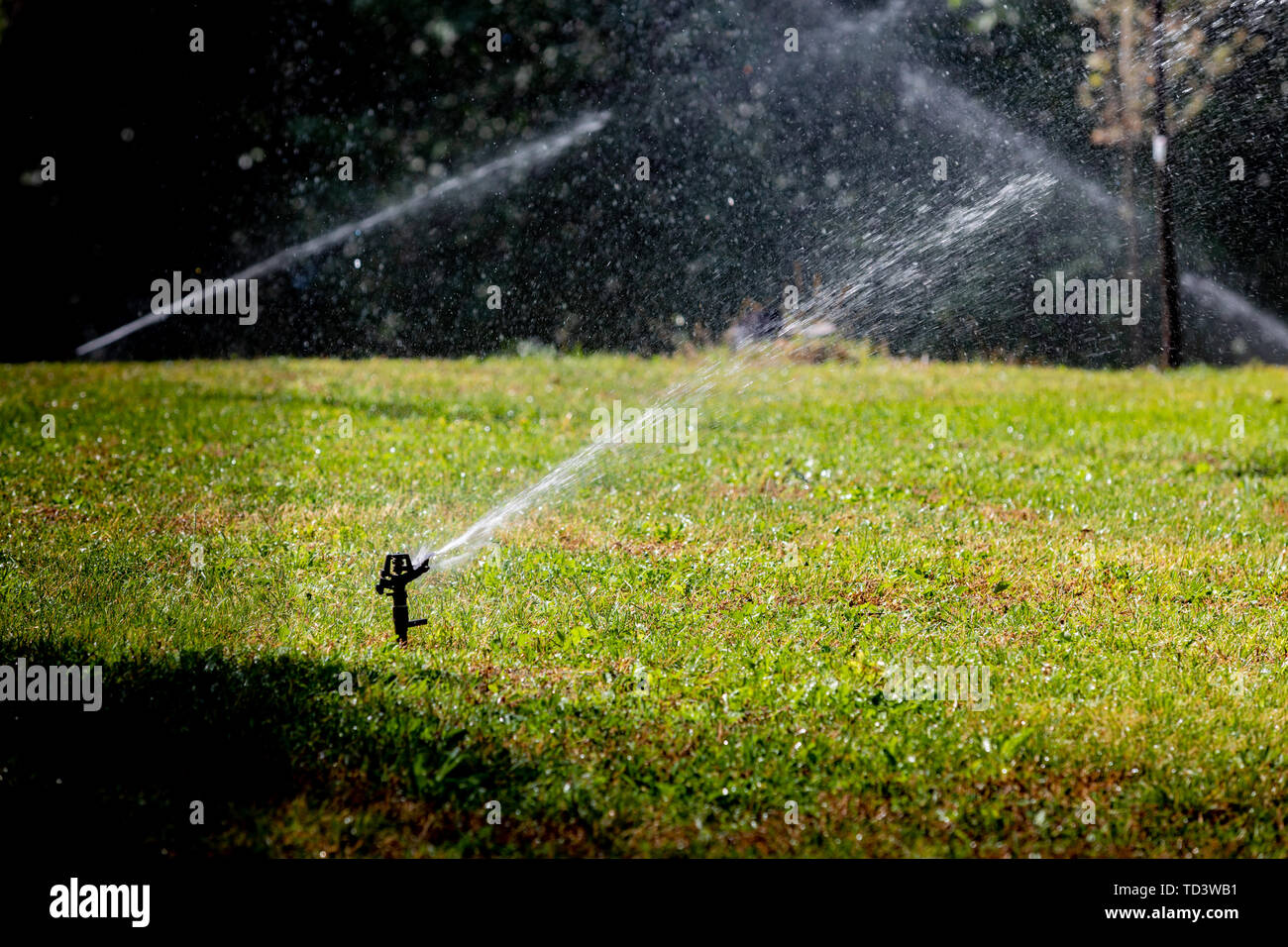 Lawn Water Sprinkler Spraying Water Over Stock Photo - Alamy