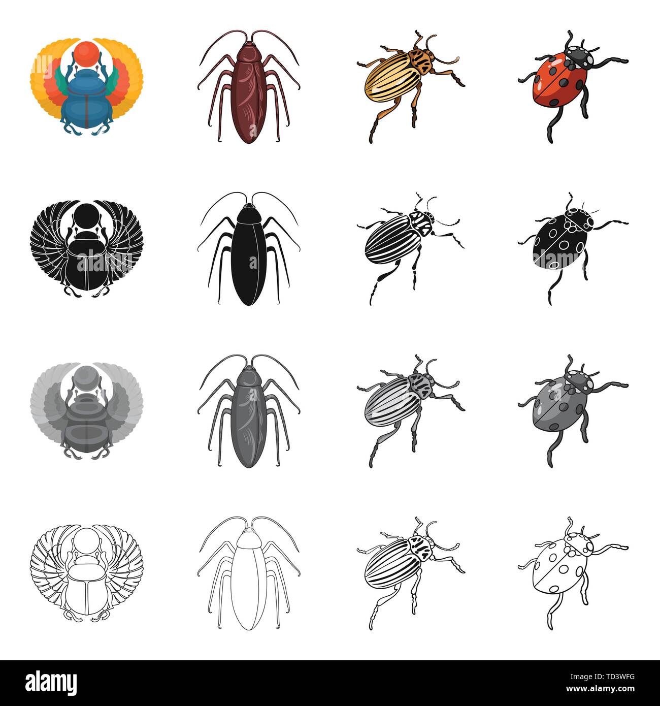 Vector design of insect and beetle sign. Collection of insect and ...