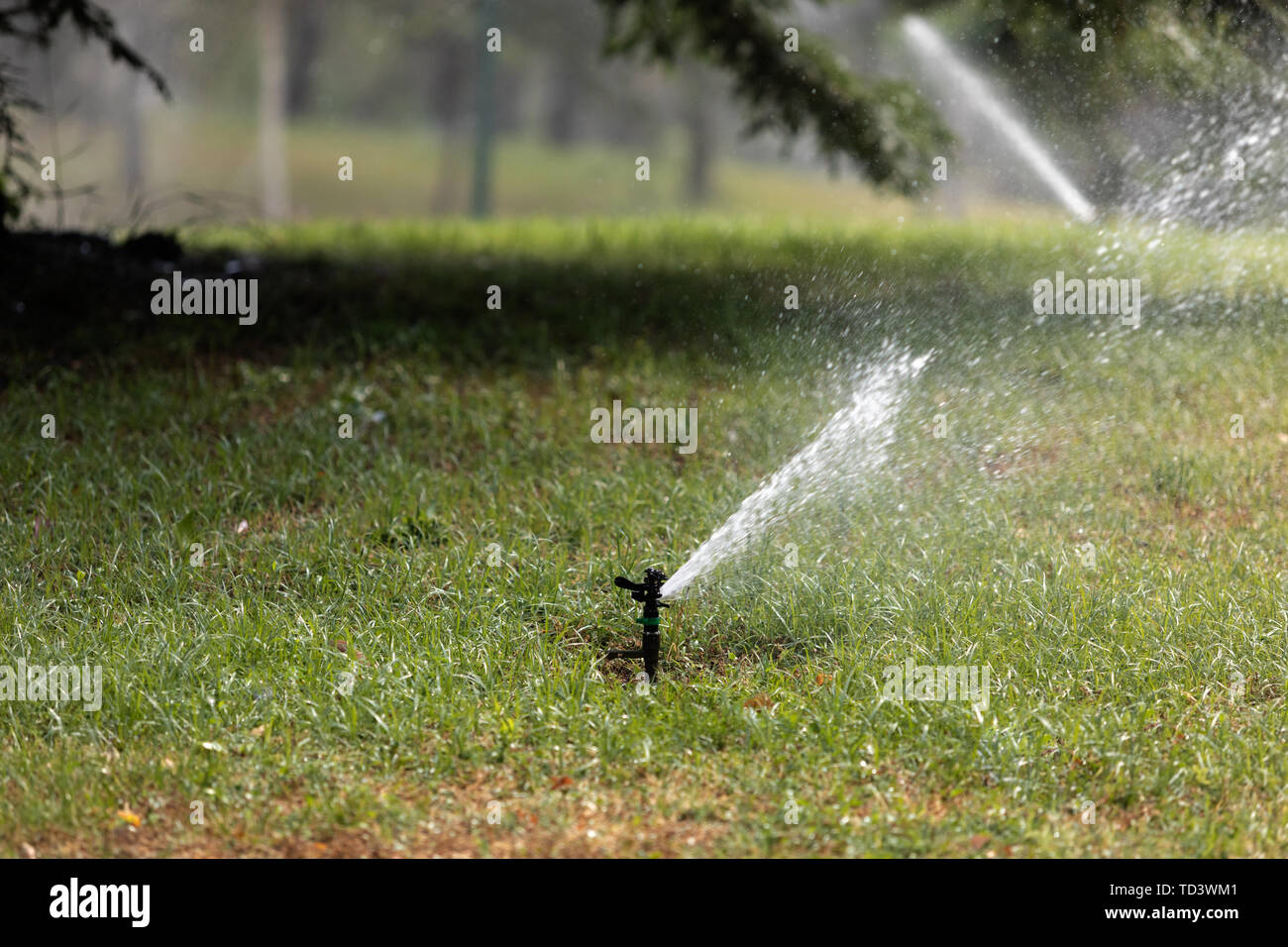 Over head irrigation hi-res stock photography and images - Alamy