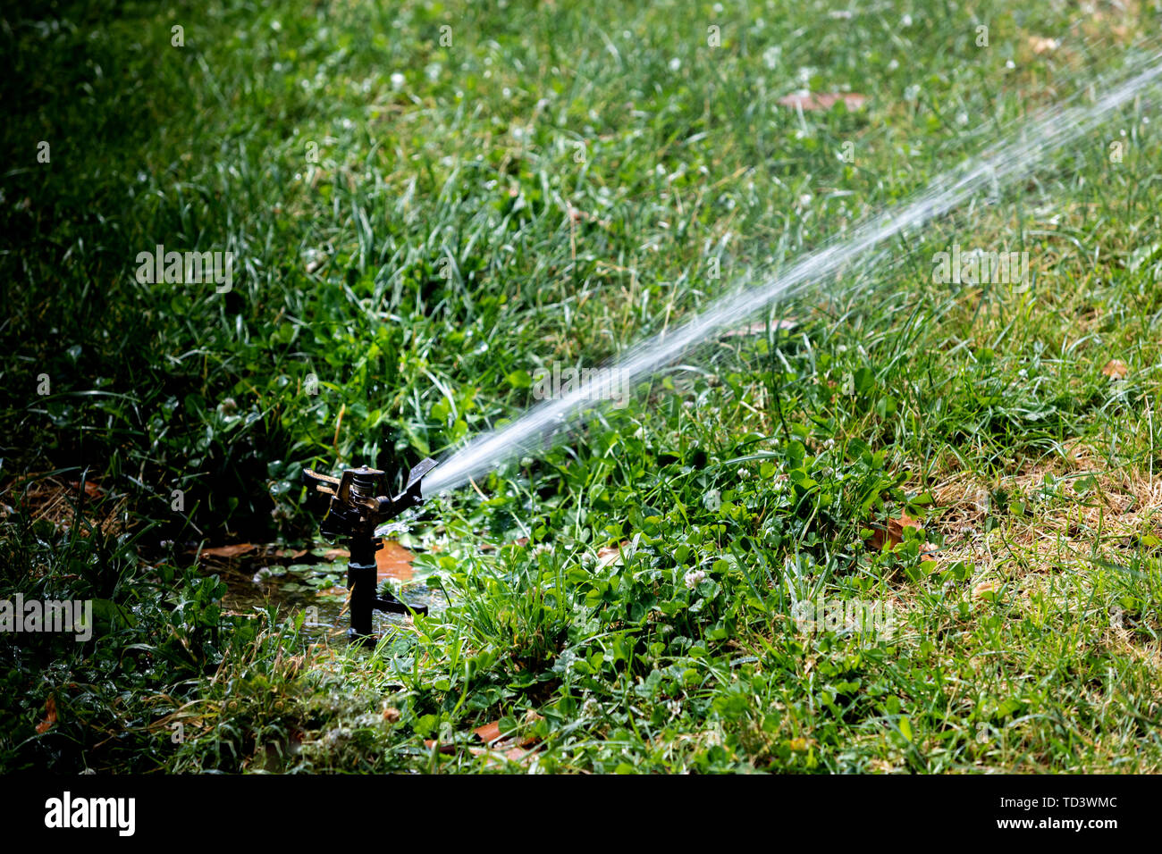Lawn Water Sprinkler Spraying Water Over Stock Photo - Alamy