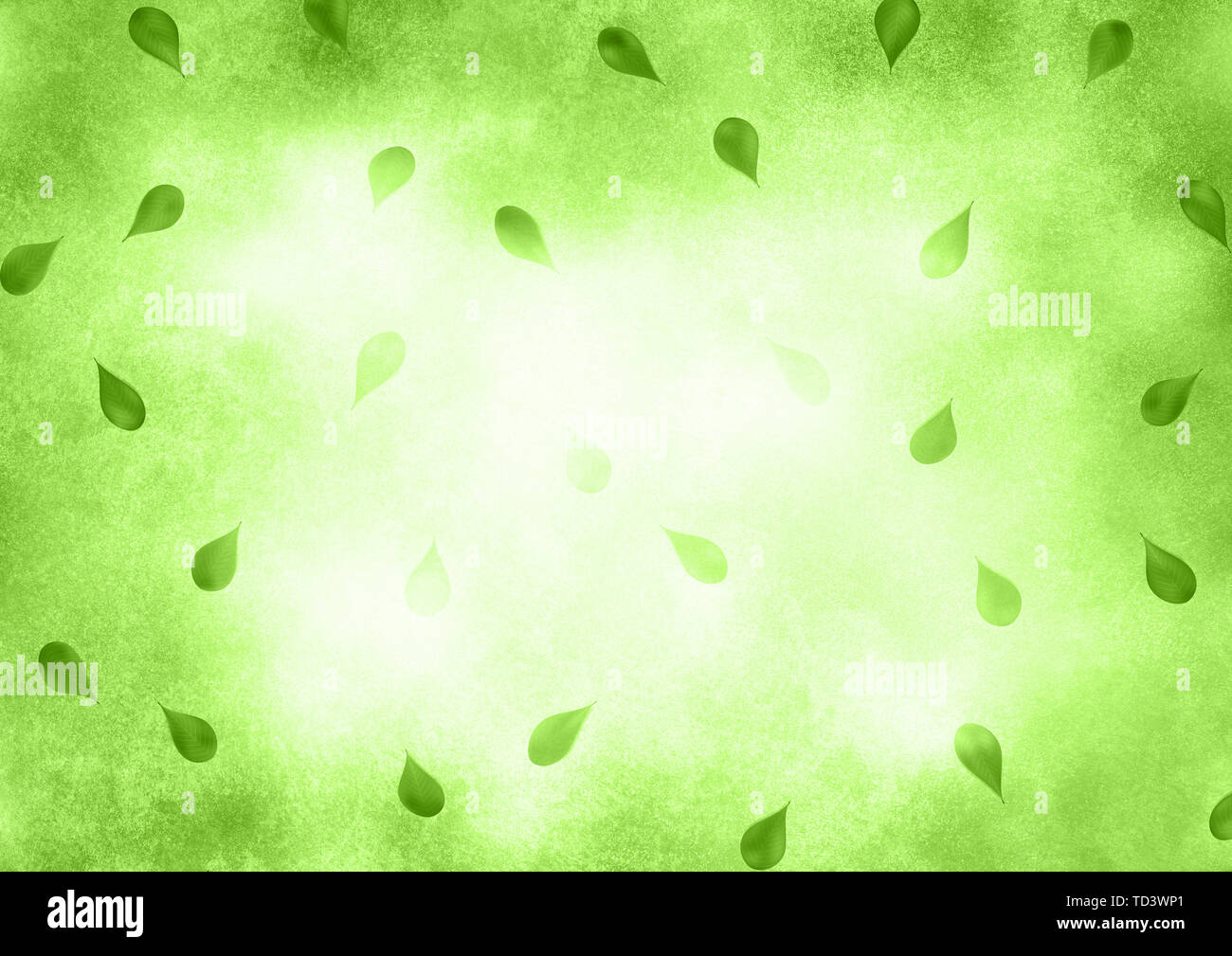 Faded Green Background