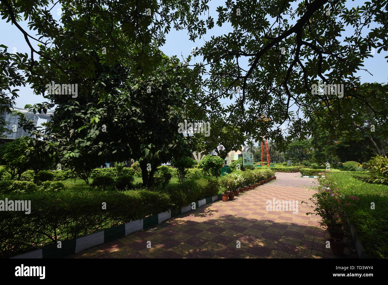 Garden of the Science City, Kolkata, India Stock Photo - Alamy