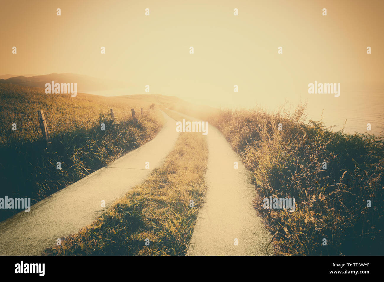 vintage landscape background with a path Stock Photo - Alamy