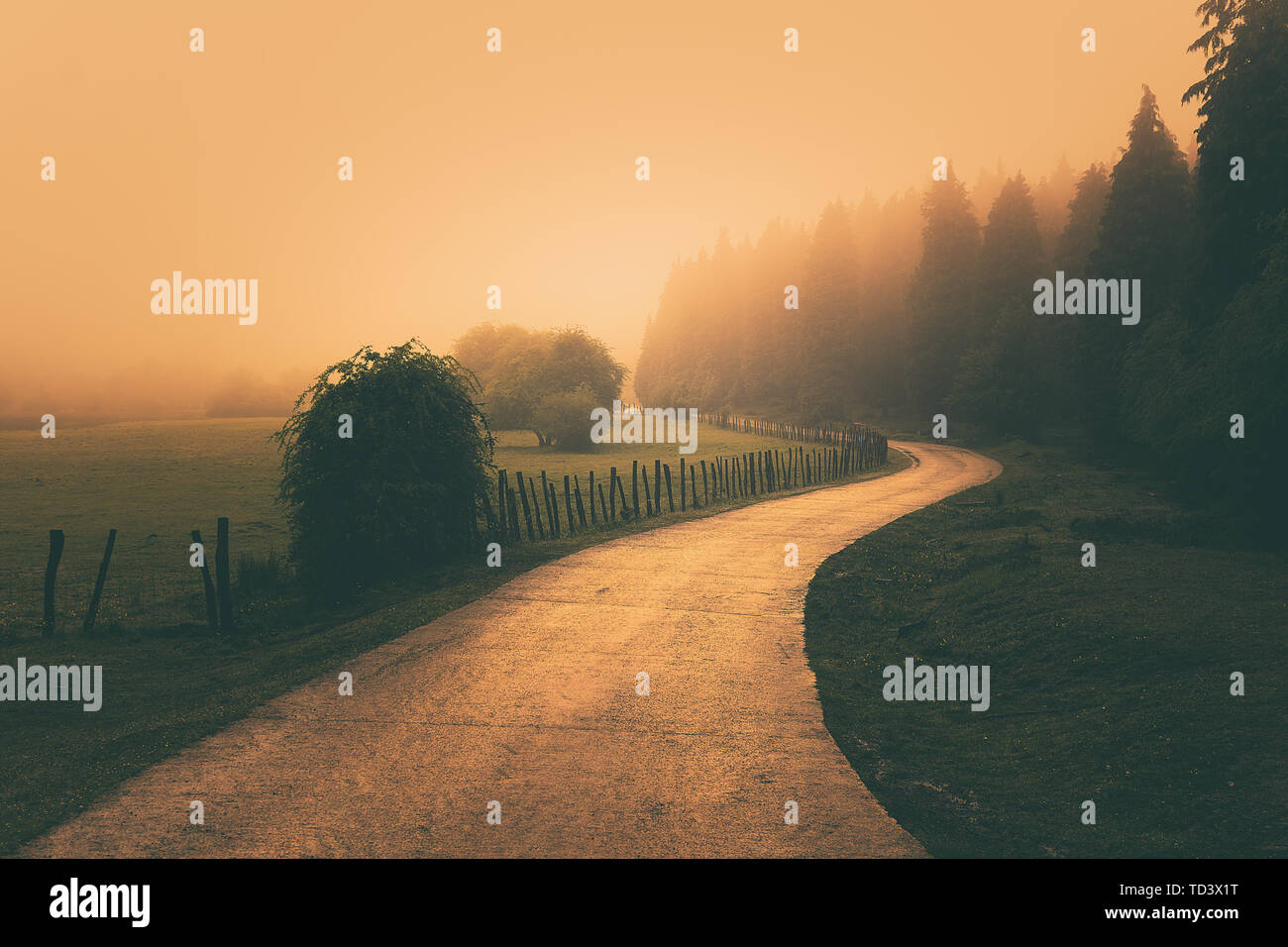 vintage nature landscape with a foggy path Stock Photo - Alamy