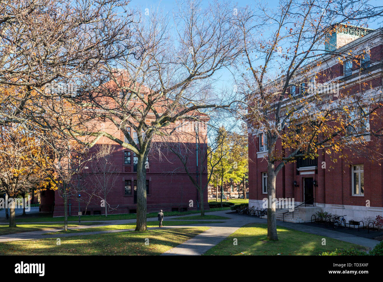Harvard campus landscape Stock Photo - Alamy