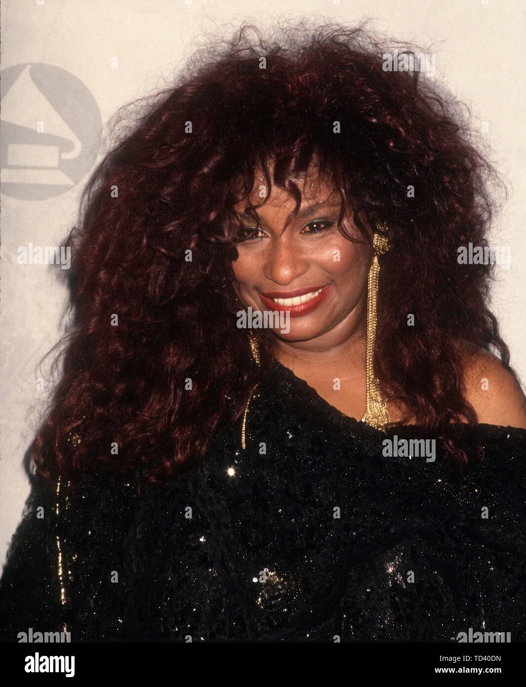 Chaka Khan 1990 Michael Ferguson/PHOTOlink.net Stock Photo - Alamy