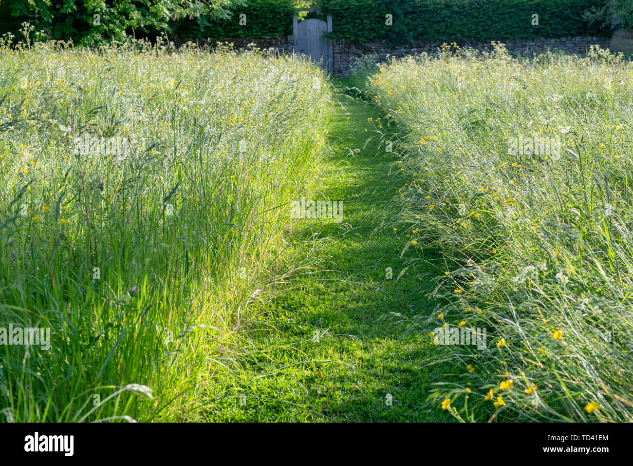 Path through grass hi-res stock photography and images - Alamy