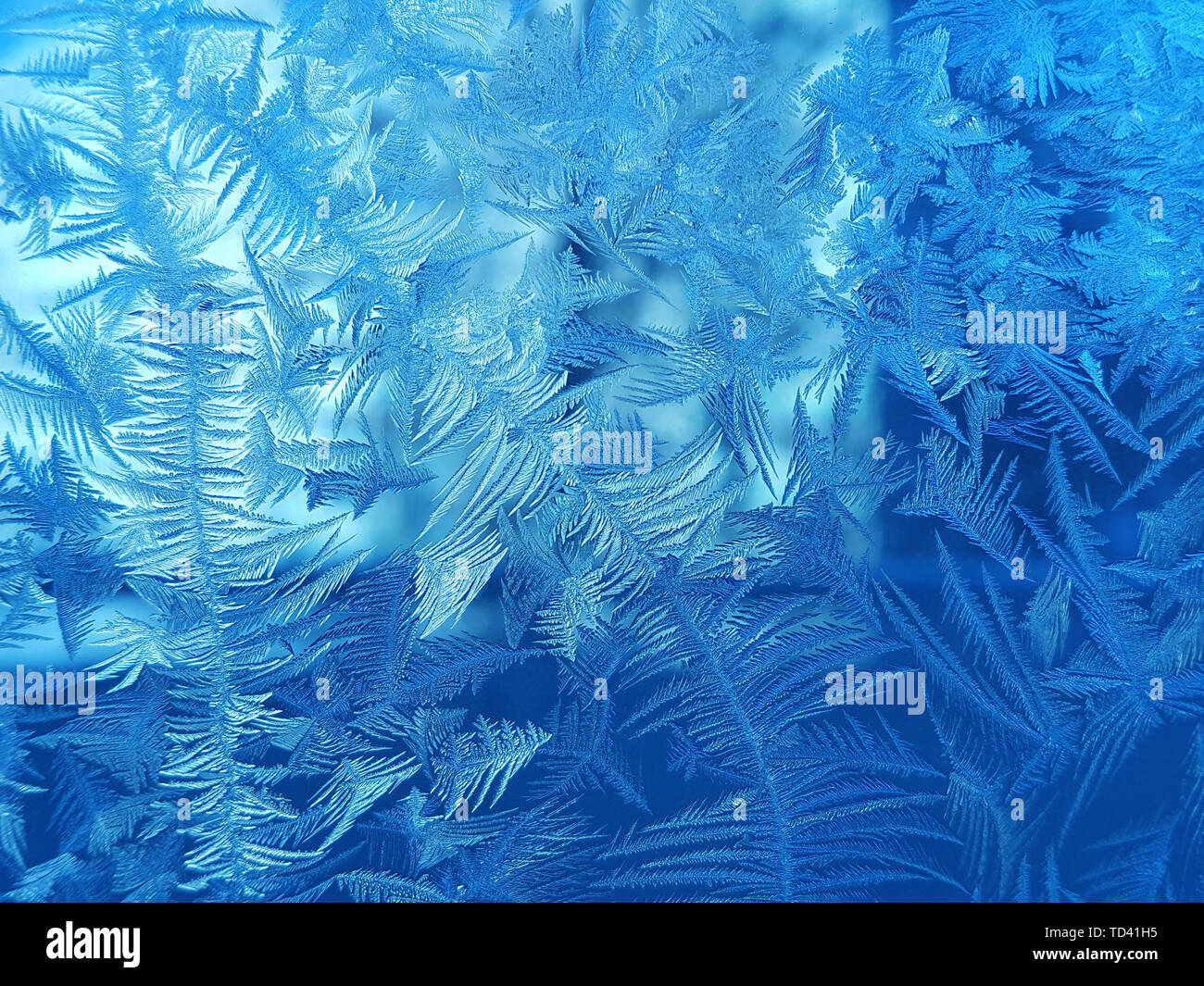 Texture of beautiful ice pattern on winter glass Stock Photo - Alamy