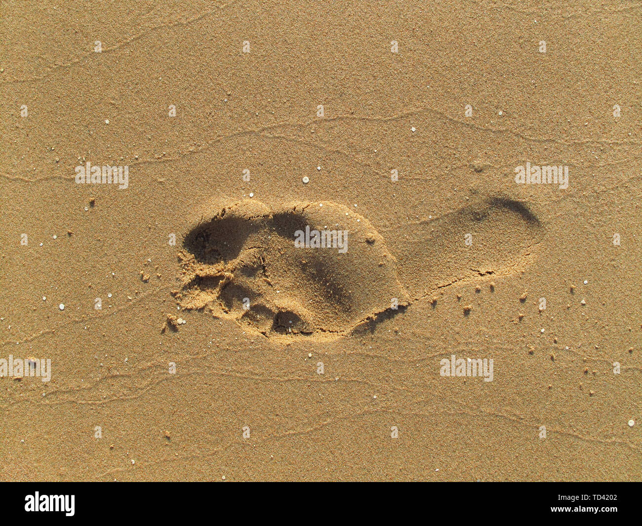 Texture of sand with footprint Stock Photo - Alamy