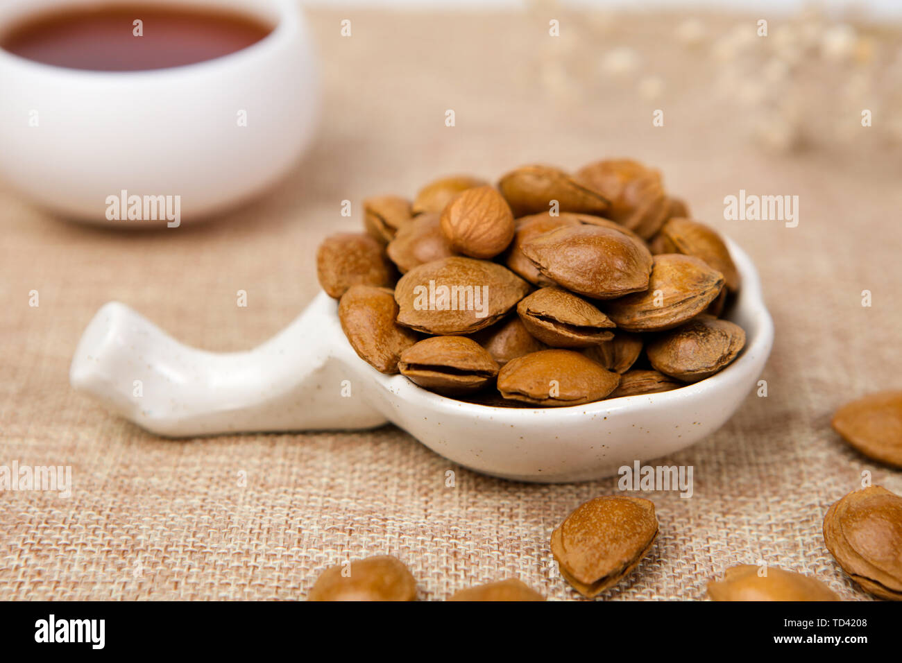 Open small ginkgo biloba hi-res stock photography and images - Alamy