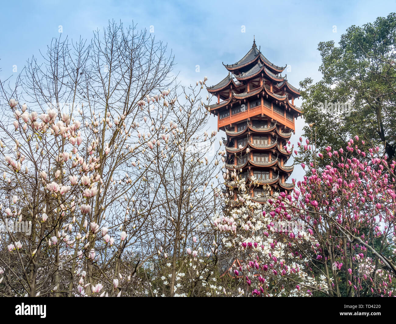 The nine-day floor of Tazishan Park in Chengdu in spring Stock Photo ...